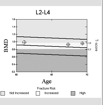 Standard BMD + VFA report